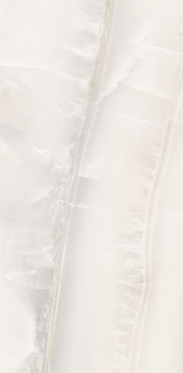Akoya White Polished 12 x 24 | Elysium Tiles