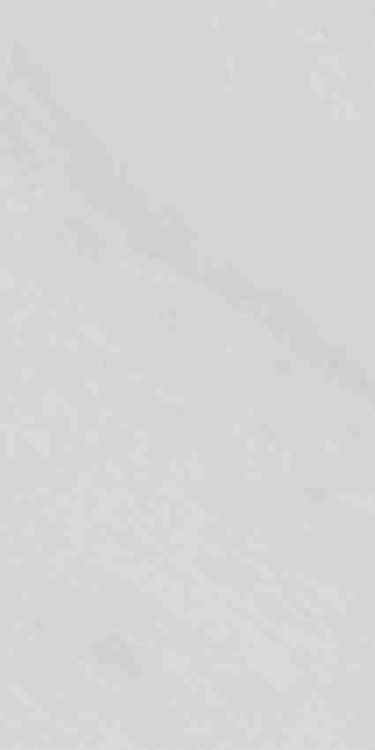 Supreme White Naturale (RET) 12 x 24 | Elysium Tiles
