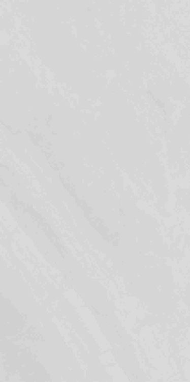 Supreme White Naturale (RET) 24 x 48 | Elysium Tiles